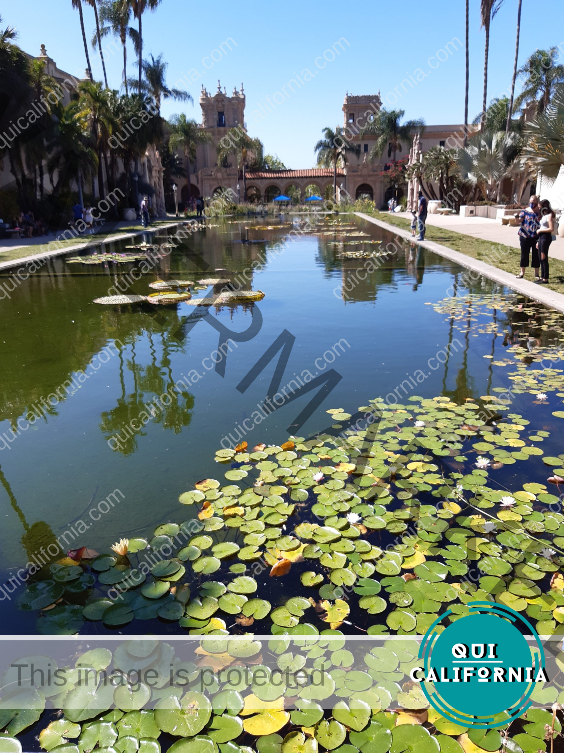 Alla scoperta di San Diego: NORTH PARK - Qui California